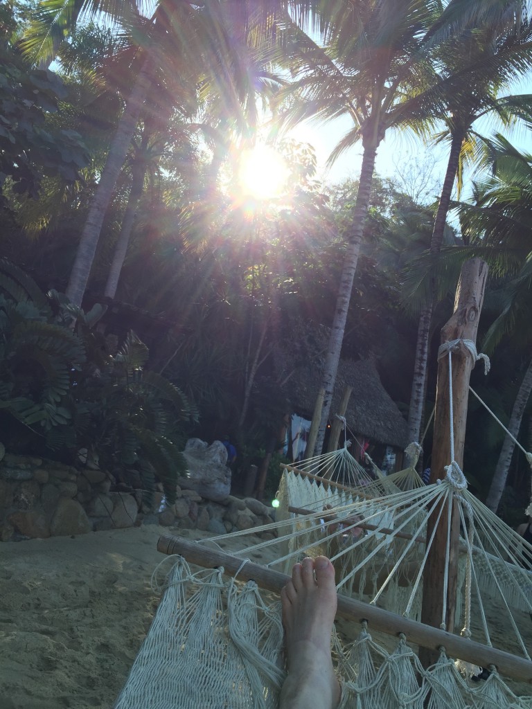 Shabbat Shalom! Beautiful Nature Scenes from Mexico | Hoshana Rabbah ...