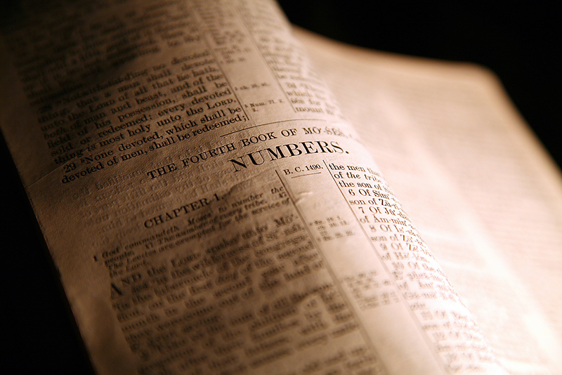 What Is The Book Of Numbers All About Hoshana Rabbah BlogHoshana