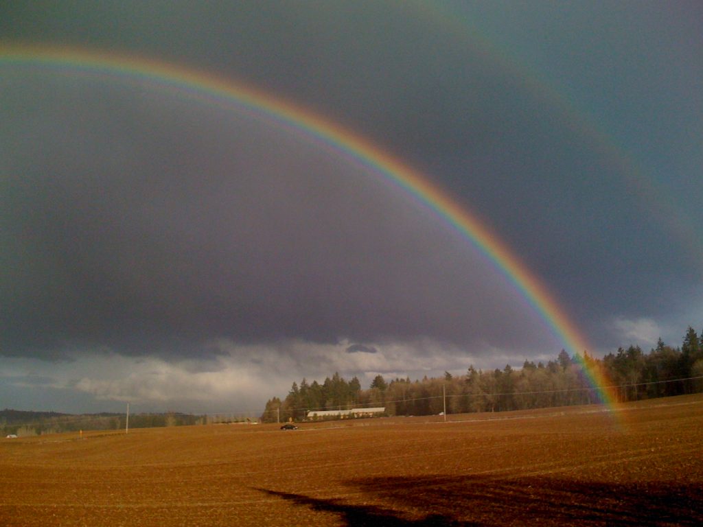 The Rainbow—A Double Edged Sword | Hoshana Rabbah BlogHoshana Rabbah Blog