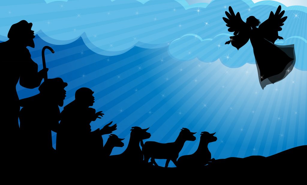 No Ordinary Sheep! | Hoshana Rabbah BlogHoshana Rabbah Blog
