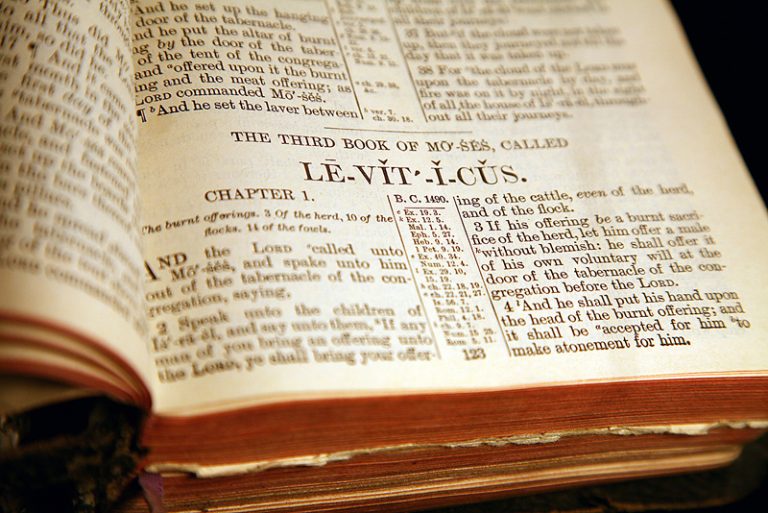 Overview of the Book of Leviticus/Vayikra | Hoshana Rabbah BlogHoshana ...