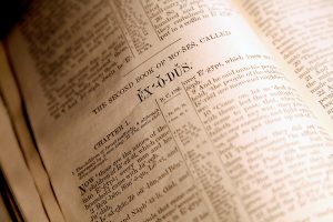 Overview of the Book of Exodus (Main Themes) | Hoshana Rabbah ...