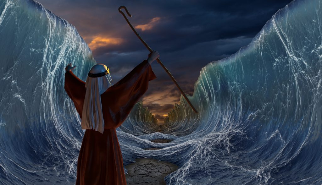 What is the Second Exodus and Does It Involve YOU? | Hoshana Rabbah ...