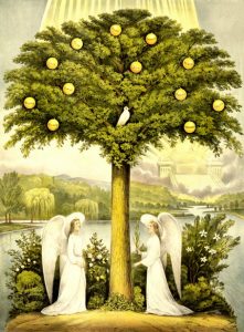 Abide in Yeshua who is the Tree of Life | Hoshana Rabbah BlogHoshana ...
