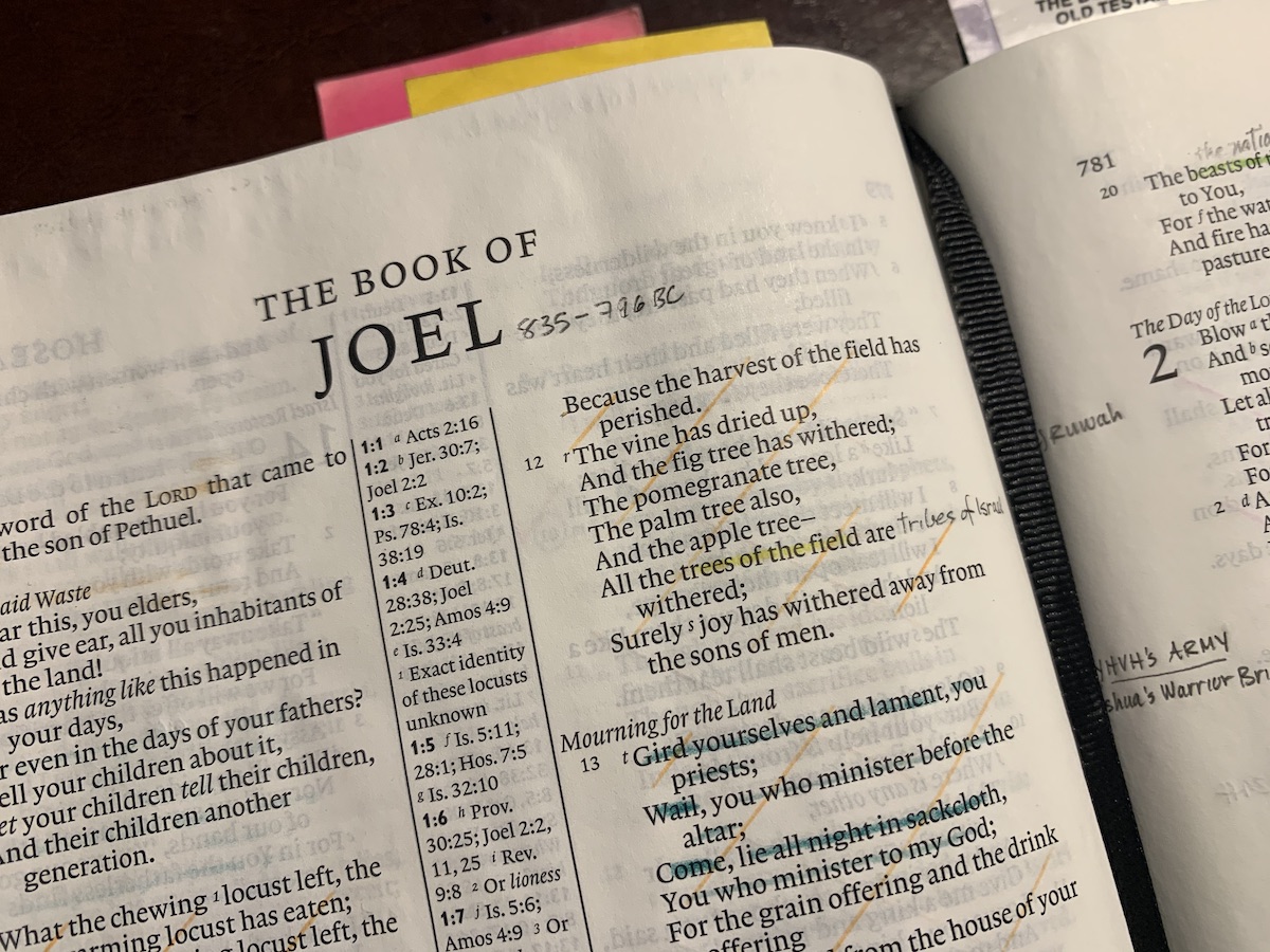 Analysis of the Book of Joel | Hoshana Rabbah BlogHoshana Rabbah Blog