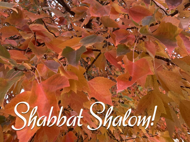 Shabbat-Shalom-autumn-leaves.001 | Hoshana Rabbah BlogHoshana Rabbah Blog