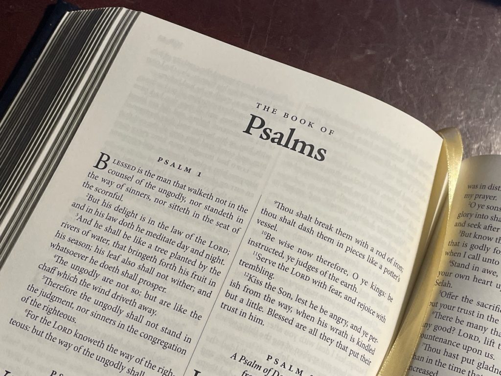 Natan s Commentary On Psalms 18 27 Hoshana Rabbah BlogHoshana Rabbah Blog Natan s Commentary On Psalms 18 27 Hoshana Rabbah BlogHoshana Rabbah Blog