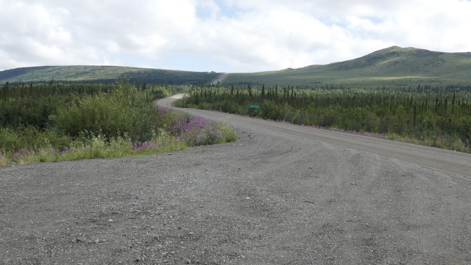 Hoshana Rabbah Blog | Midrash with Natan LawrenceHoshana Rabbah Blog ...