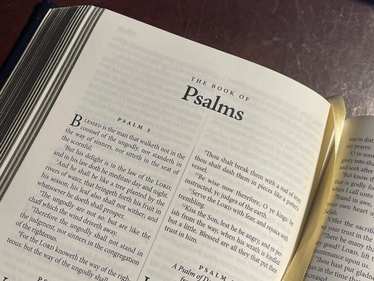 The Book of Psalms—Introduction, Overview and List of Topics | Hoshana ...
