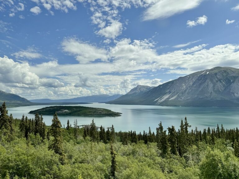 Hoshana Rabbah Blog | Midrash with Natan LawrenceHoshana Rabbah Blog ...